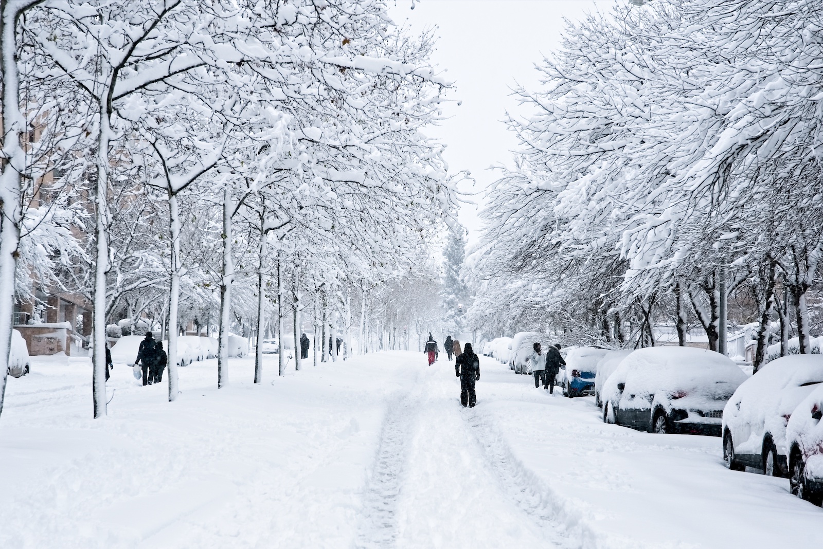 Zeit für Schnee – auch @ Basel City - CONTENT HUB | baselundregion.ch